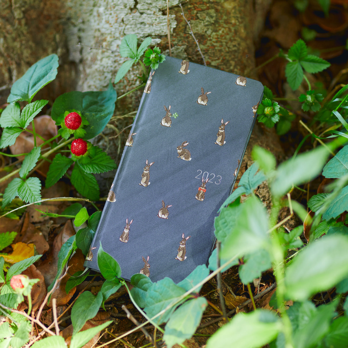 Hobonichi – Take Note Pens & Stationery Inc.